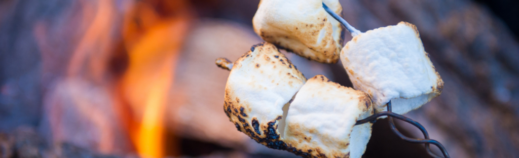 The origins of bonfire - The Language Factory - The Language Factory